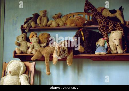 SANGHA THE TIGER, TWO BROTHERS, 2004 Stock Photo - Alamy