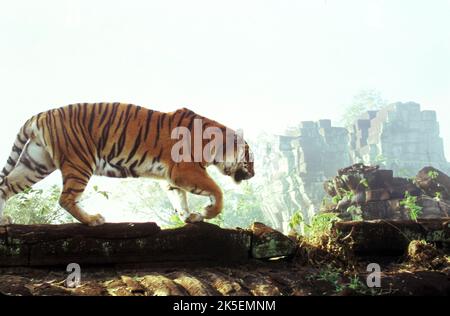THE GREAT TIGER, TWO BROTHERS, 2004 Stock Photo - Alamy