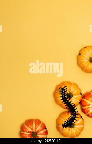 Halloween symbol concept, Centipede on scary smile pumpkin over yellow ...