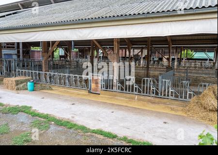 An empty Farm with boxes for cows Stock Photo - Alamy