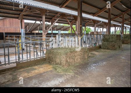 An empty Farm with boxes for cows Stock Photo - Alamy