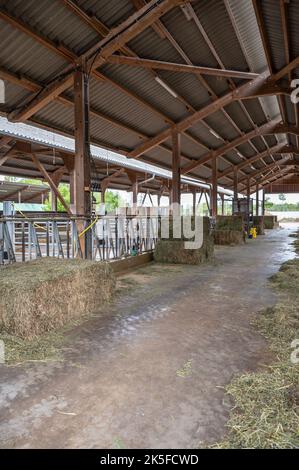 An empty Farm with boxes for cows Stock Photo - Alamy
