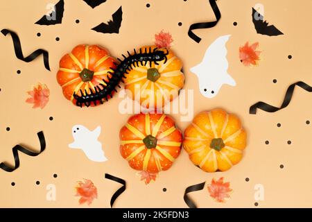 Halloween concept, Centipede on scary smile pumpkins and ghost with ...