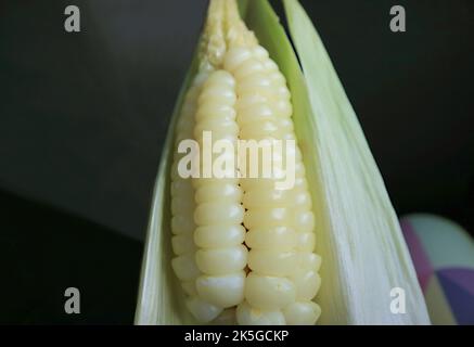 Choclo, or Peruvian large kernel corn, as seen at Lima's annual ...