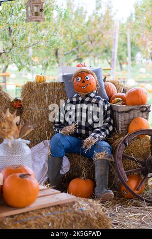 Pumpkins and scarecrow decoration in the garden Stock Photo - Alamy