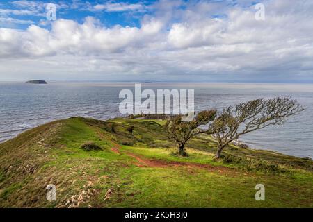 Windswept trees and the fort at Brean Down in the Bristol Channel ...