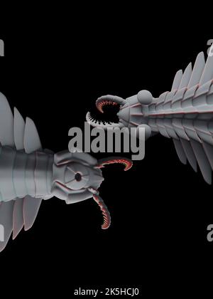 Fossil reconstruction of Anomalocaris Canadensis from middle Cambrian ...