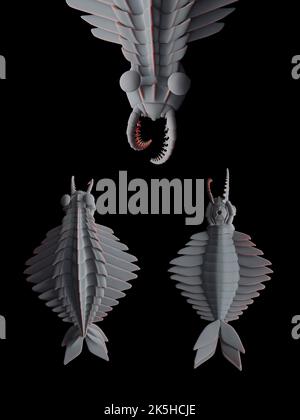 Fossil reconstruction of Anomalocaris Canadensis from middle Cambrian ...