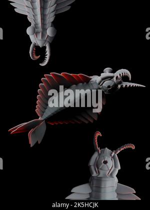 Fossil reconstruction of Anomalocaris Canadensis from middle Cambrian ...
