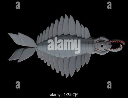 Fossil reconstruction of Anomalocaris Canadensis from middle Cambrian ...