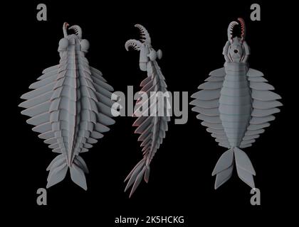Fossil reconstruction of Anomalocaris Canadensis from middle Cambrian ...