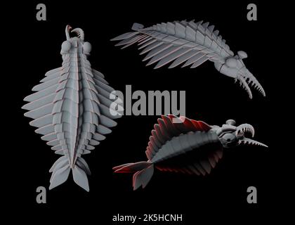 Anomalocaris, prehistoric creature of the Cambrian period (3d science ...