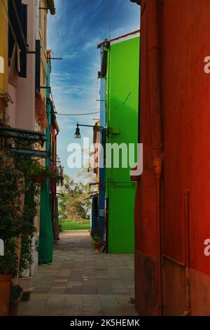 A vertical shot of a narrow street under green trees Stock Photo - Alamy