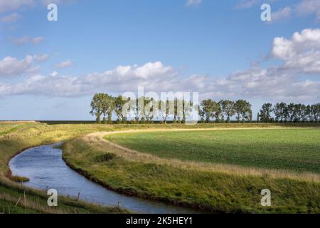 Landscape in the Fens, channel, field and trees on an autumn day ...