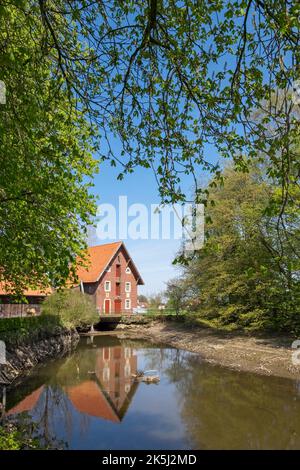Historic water mill, Duestermuehle on the river Dinkel, Legden ...