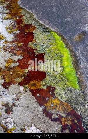 Tidal pool at Uttakleiv Beach, Lofoten Islands, Norway Stock Photo - Alamy