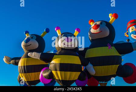 Morning Ascension For Special Shapes Rodeo, Albuquerque International ...