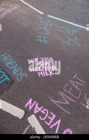 Animal Rebellion return to The street hitting multiple locations across ...