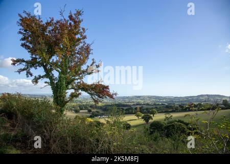 View of the Marshwood Vale, a stunningly beautiful valley in rural ...