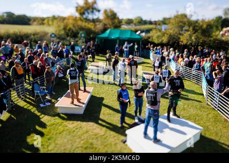 Southwick, England. 9 October, 2022. Competitors at the World Conker ...