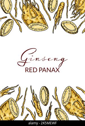 Ginseng vertical design. Hand drawn botanical vector illustration in ...