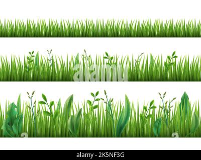 Realistic grass growth. Different stages green plants growing, fresh ...