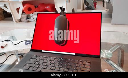 Calibration of laptop led white screen,monitor color.Computer display ...