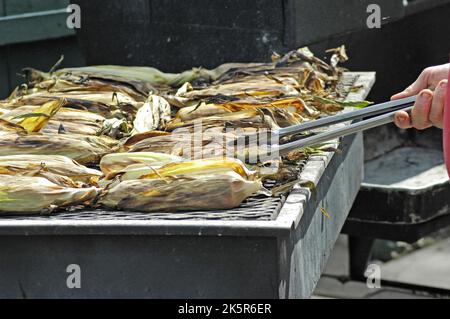 Corn grilling on open pit bar b q at fair in husks for eating Stock ...