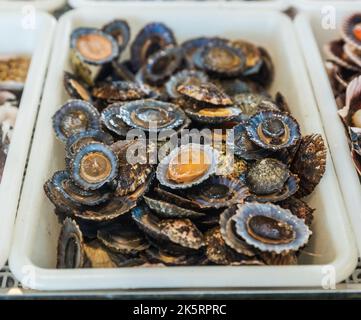 Raw "Lapas" or true limpets - traditional seafood of Tenerife and ...