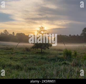 Early Morning View, fog rising. Lookout Mountain, Tennessee. J. Birney ...