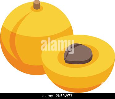 3d isometric map of Yerevan is a city of Armenia , vector illustration ...