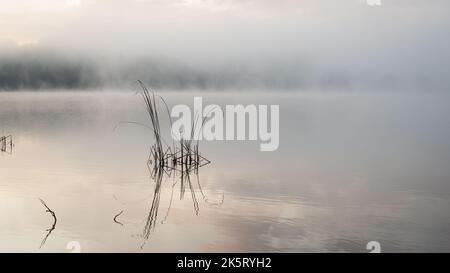 Dawn at Hamilton lake (also known as lake Rotoroa), Hamilton, New ...