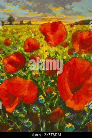 Oil painting poppy field at sunset. Large red flowers poppies in the ...