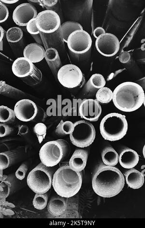 Piles of bamboo, Monochrome photo of holes from stacked bamboo sticks ...