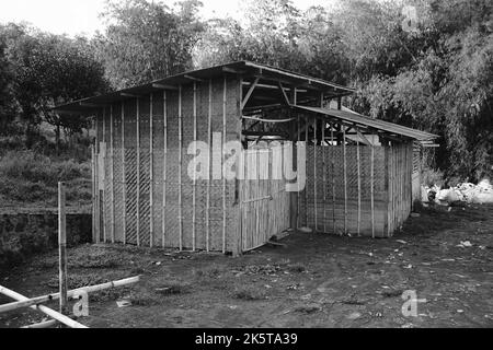 Storage shed, Monochrome photo of bamboo huts used as rice storage in ...