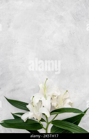 Branch of white lilies flowers. Mourning or funeral background Stock ...