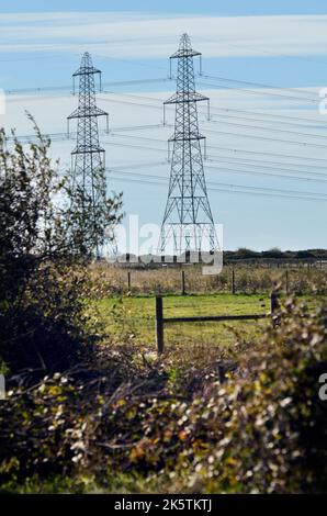 Electricity distribution pylons Stock Photo - Alamy
