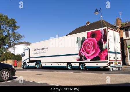 rear side view of APG Flowerexport bv Volkenburg , Holland HGV lorry ...