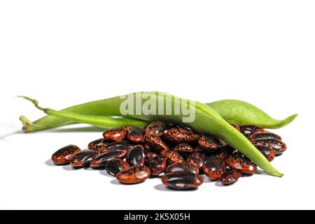 Fire beans isolated against white background Stock Photo - Alamy
