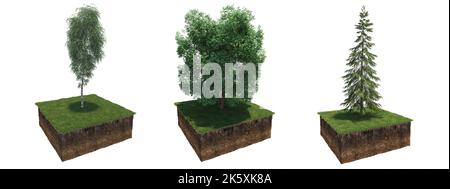 Deciduous tree and soil cut under it, 3d render Stock Photo - Alamy