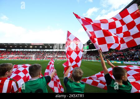 Mascots wave flags before the Sky Bet Championship match at Riverside ...