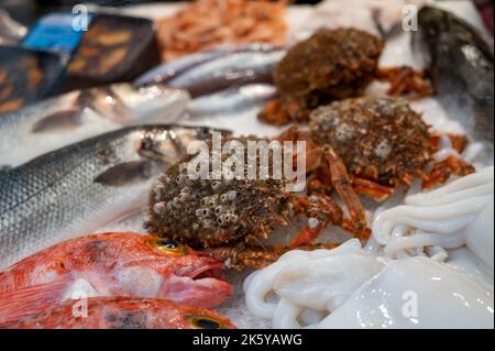 Assortment of fresh daily catch of fishes, seashells, molluscs on ice ...
