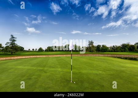 Golf club with ball on grassy field Stock Photo - Alamy