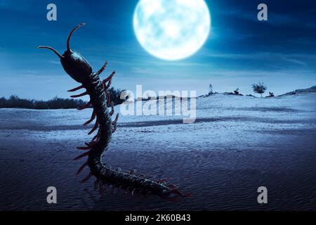 Centipedes walking on the ground in the night scene background Stock ...