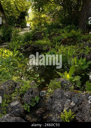 Innsbruck botanic gardens Stock Photo - Alamy