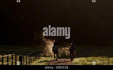 Horses return from the gallops at Sam Drinkwater's Granary Stables in ...