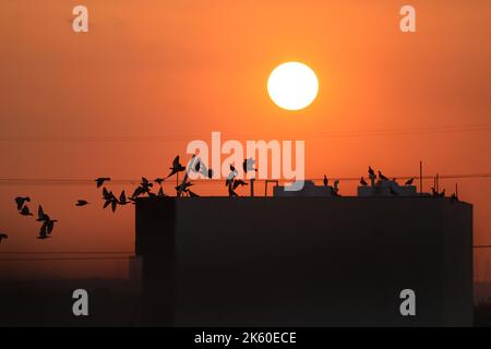 sunset in noida Stock Photo - Alamy