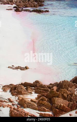 Pink Beach, Spiaggia Rosa or Cala di Roto, Island of Budelli; La ...