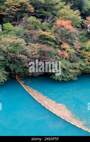 Lake Shiromaru in Okutama Tokyo Japan Stock Photo - Alamy