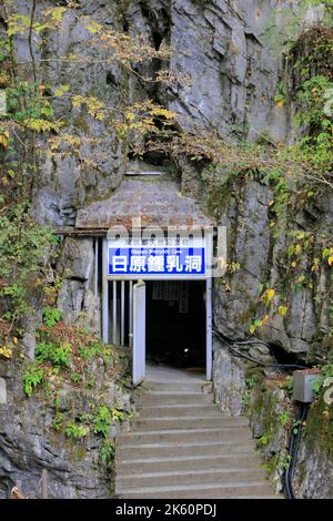 The entrance of Nippara Limestone Caves in Okutama-machi Tokyo Japan ...